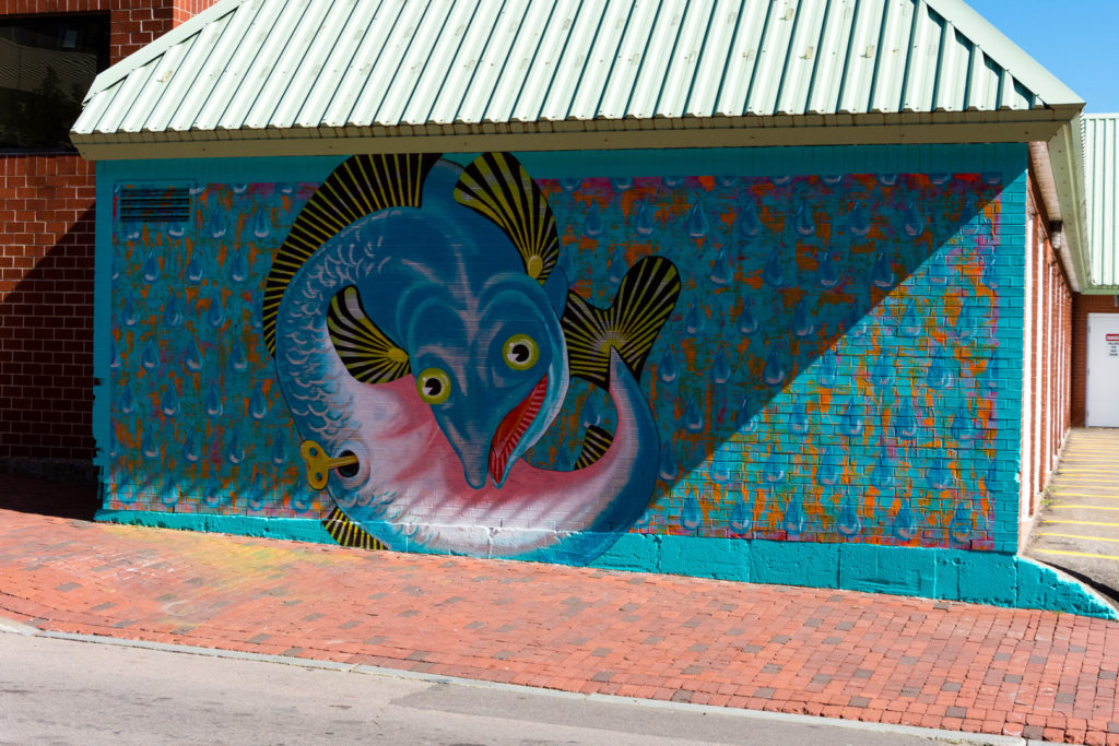 Street Art à Moncton au Nouveau-Brunswick | Les petits voyages de Sarah